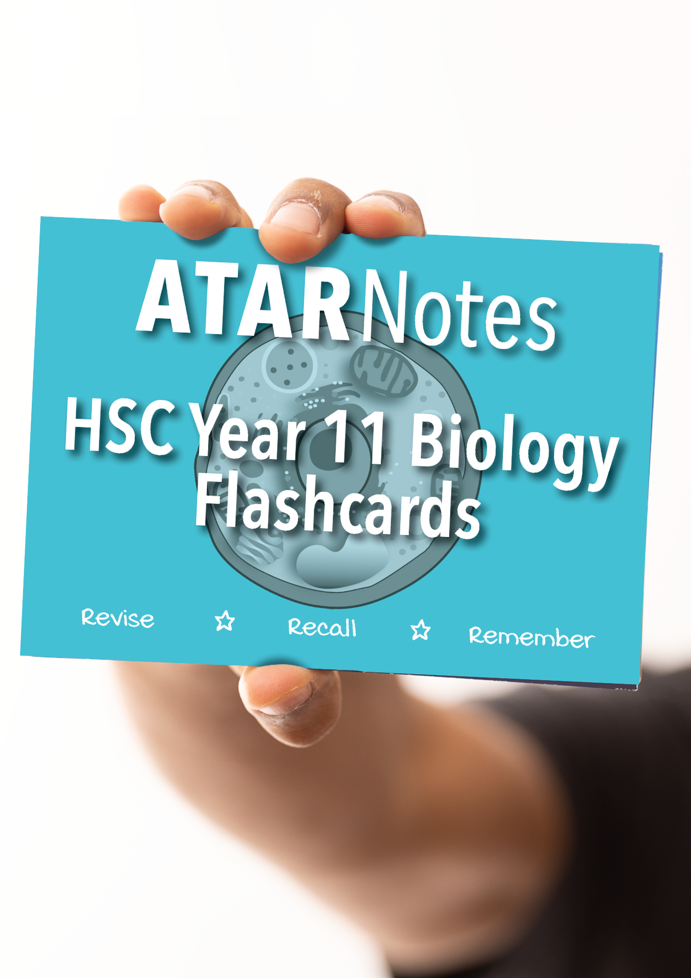 ATAR Notes Flashcards: HSC Year 11 Biology