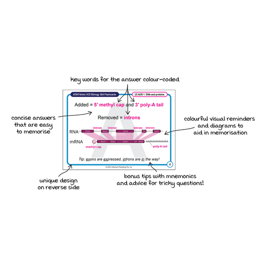 ATAR Notes Flashcards: HSC Year 12 Economics