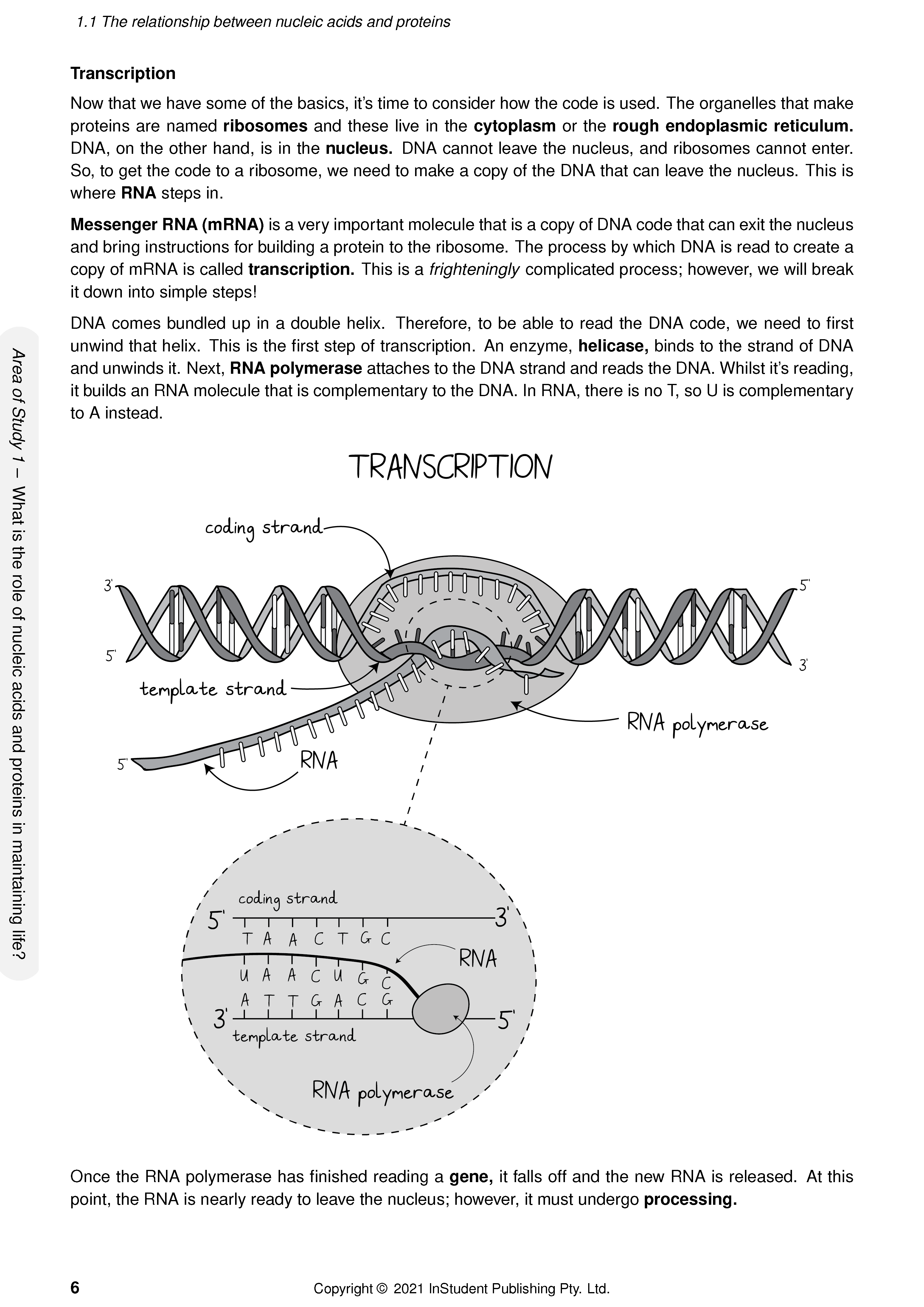 ATAR Notes VCE Biology 3&4 Complete Course Notes